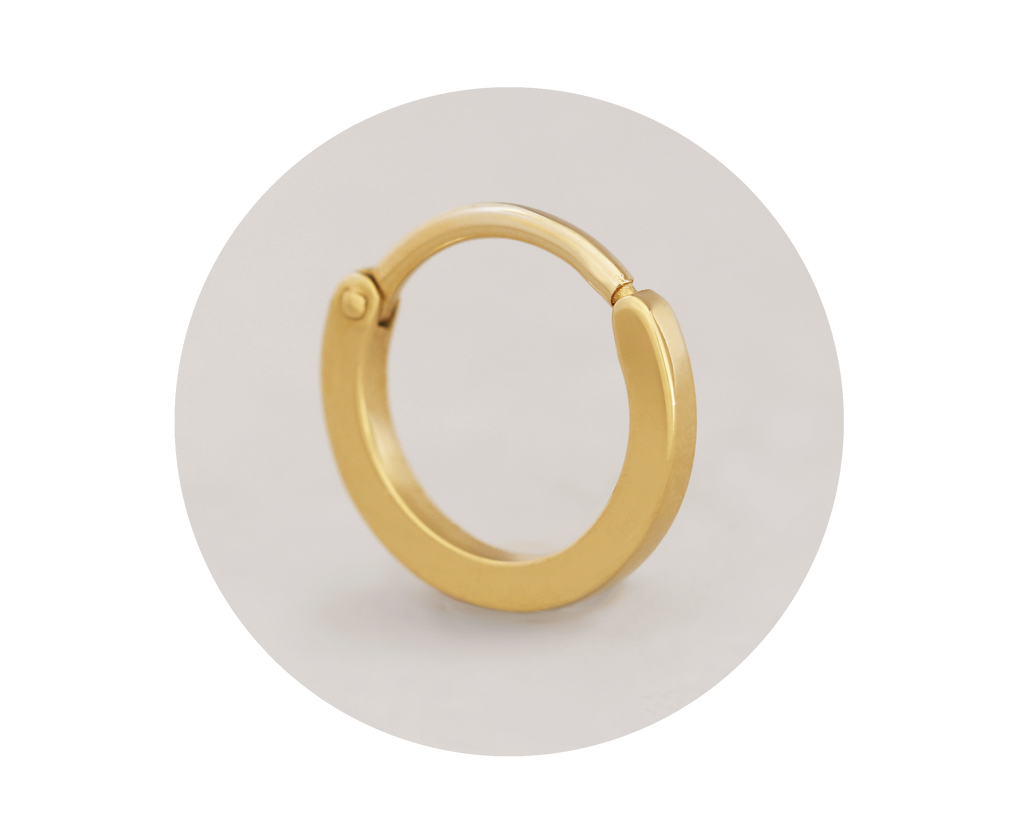 Chen - 14K Gold Clicker Ring For All Piercing – Auri Jewelry